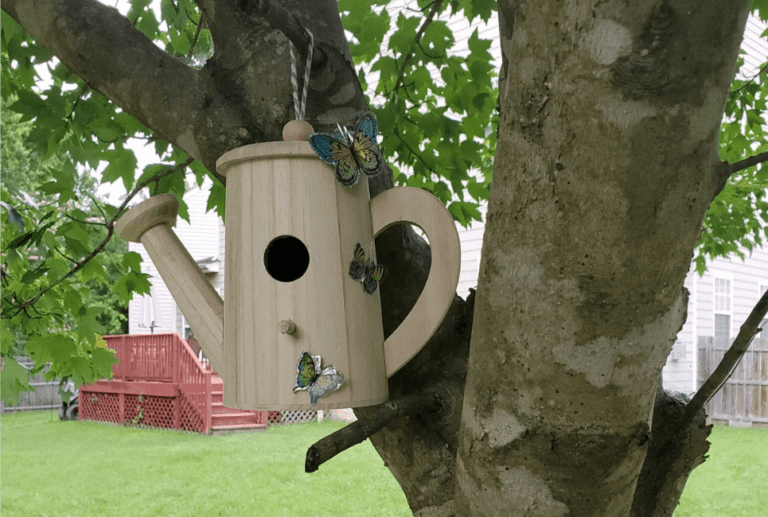Painted Birdhouse Ideas to Add Some Flair to Your Garden - Birding Insider
