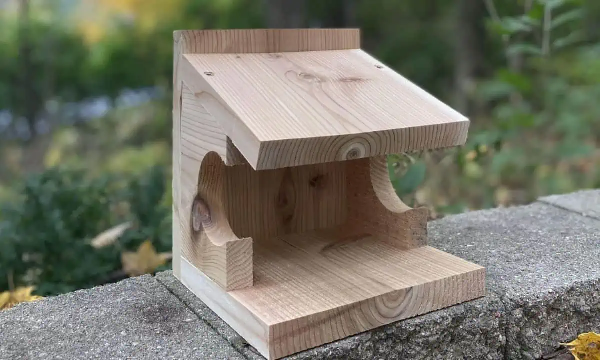 Cardinal Bird House Dimensions