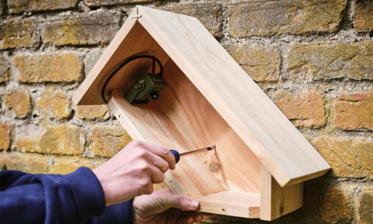 Best Birdhouse Cameras Guide - Birding Insider